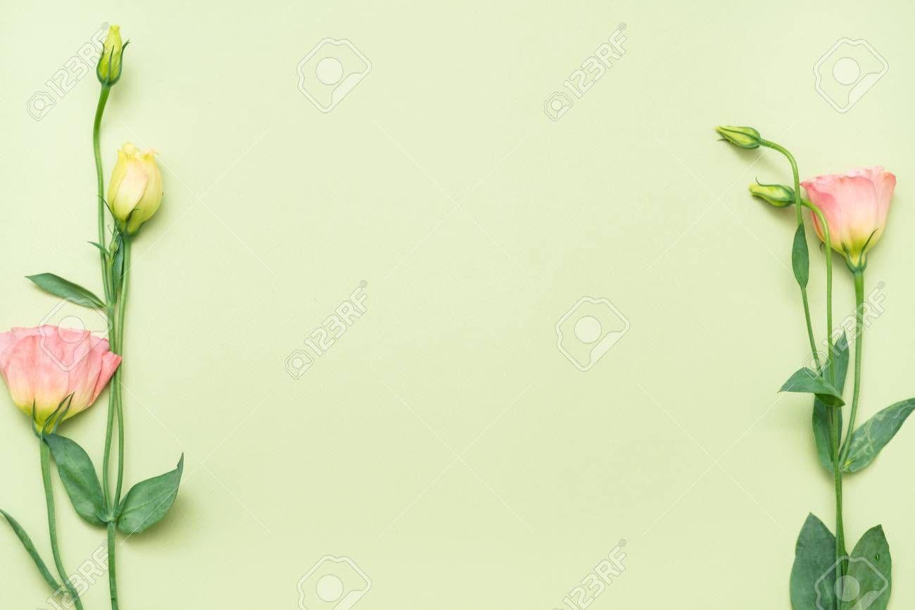 Minimal Floral Wallpapers - Top Free Minimal Floral Backgrounds ...