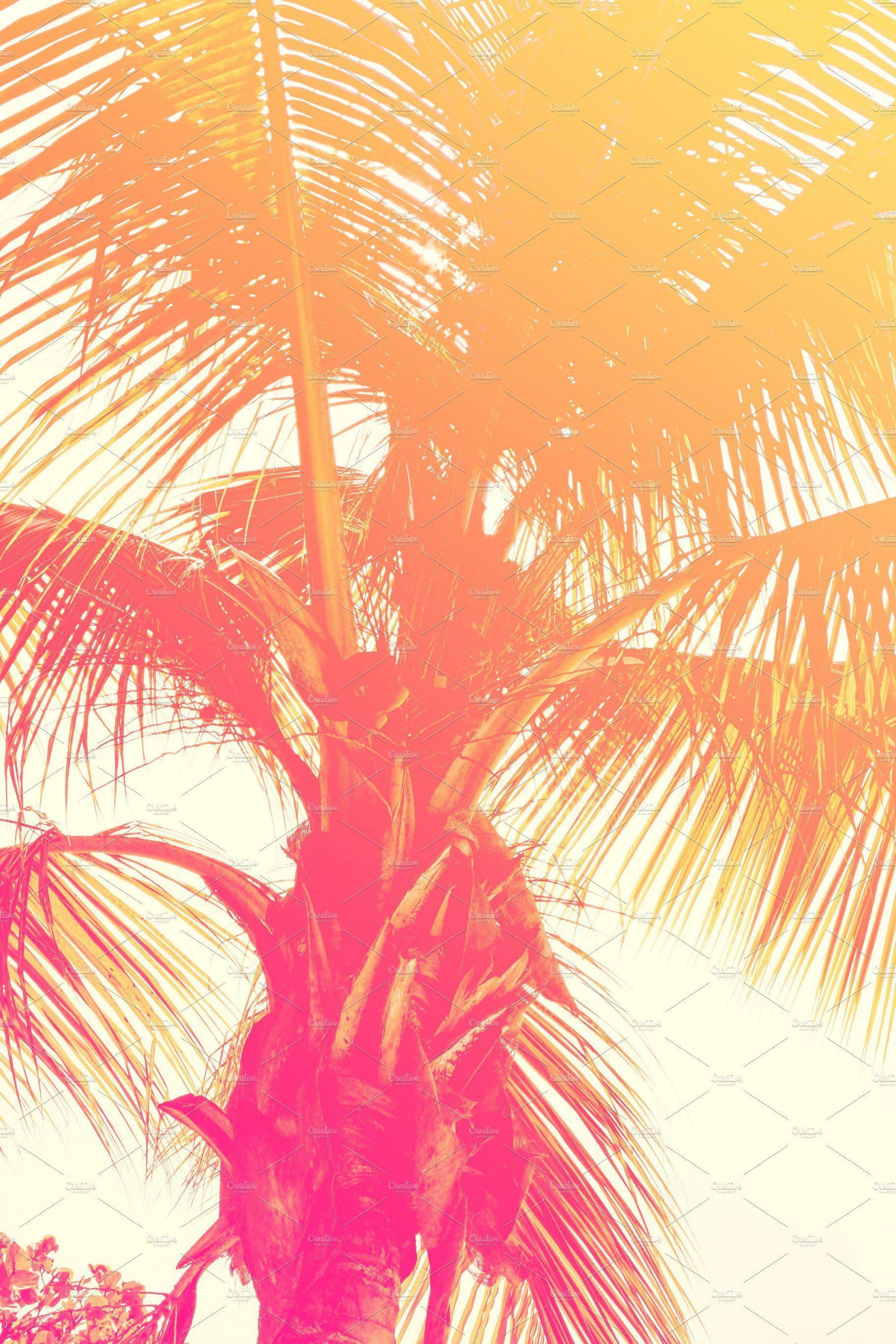 80s Neon Palm Trees Wallpapers - Top Free 80s Neon Palm Trees ...