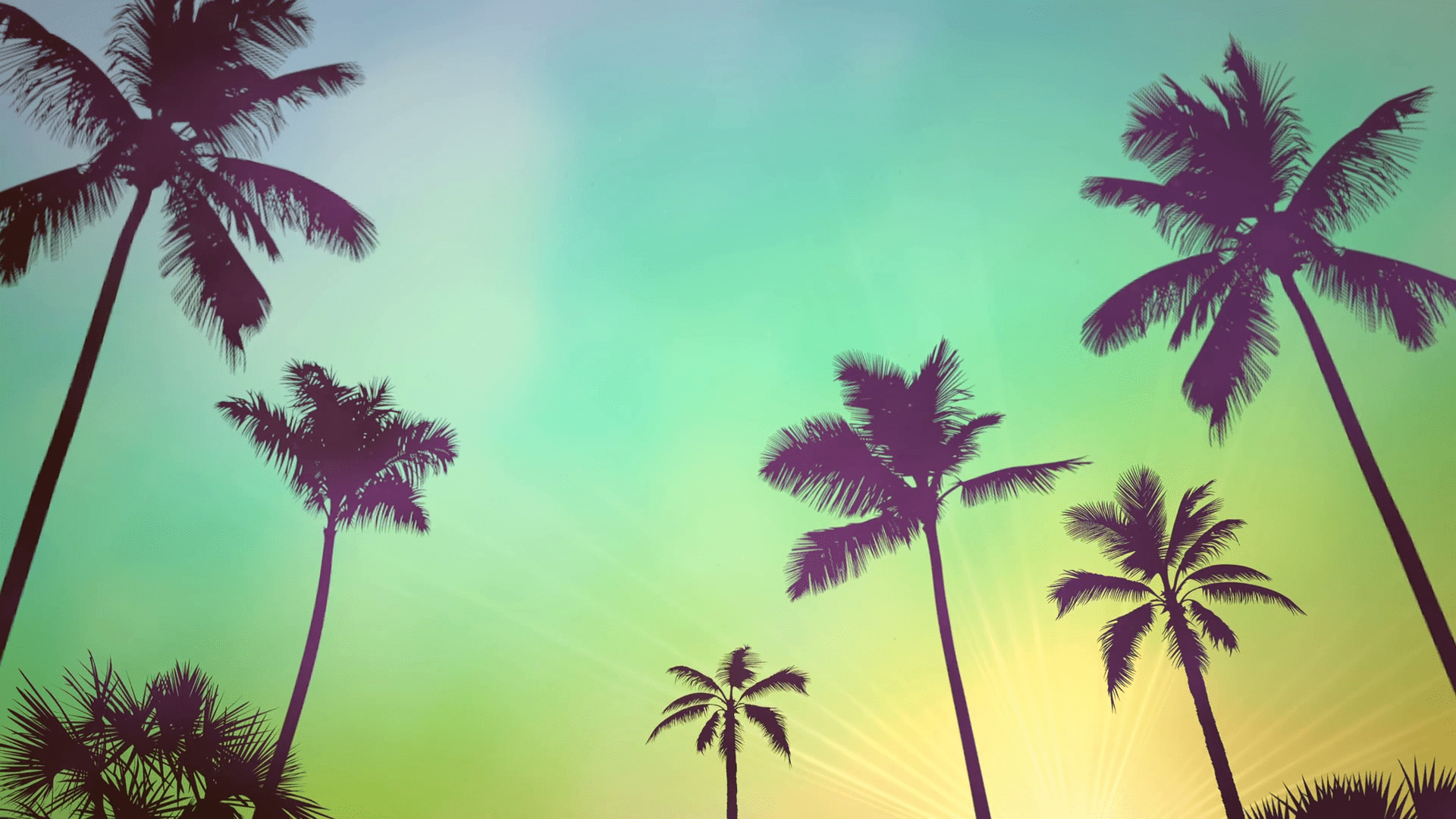 80s Palm Tree Sunset Wallpapers - Top Free 80s Palm Tree Sunset ...