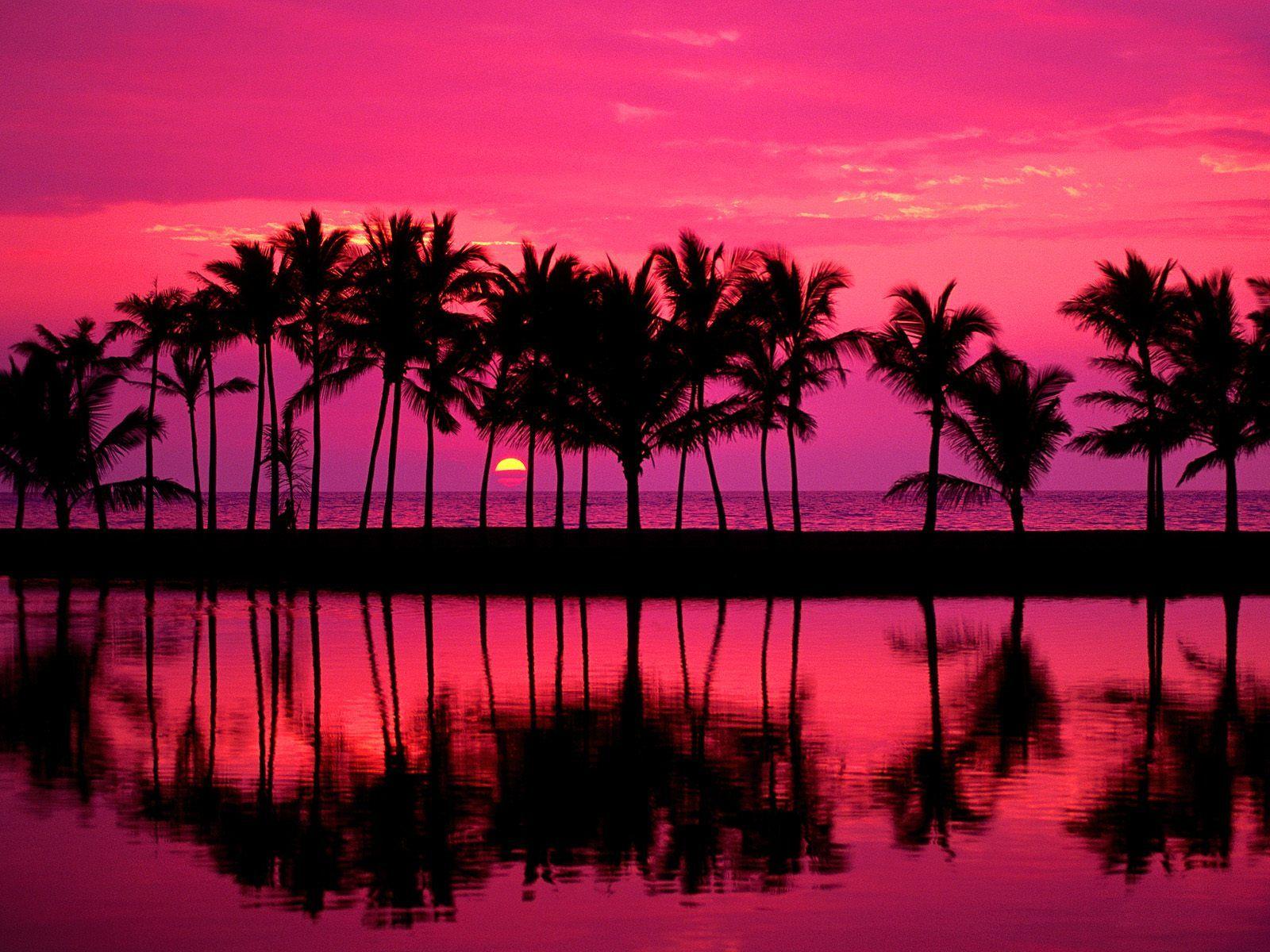 80s Palm Tree Sunset Wallpapers - Top Free 80s Palm Tree Sunset ...