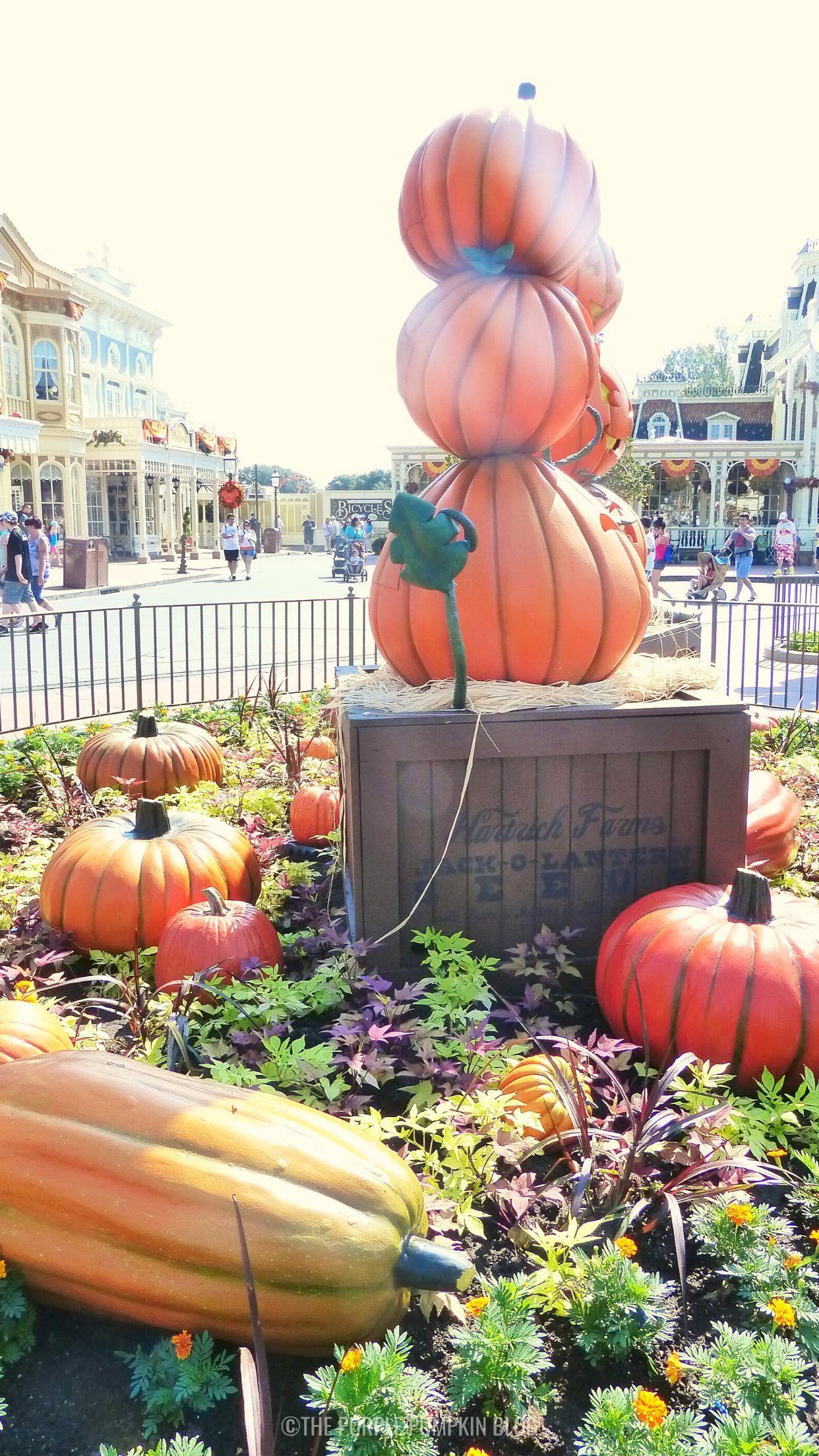 Disney Fall iPhone Wallpapers - Top Free Disney Fall iPhone Backgrounds ...