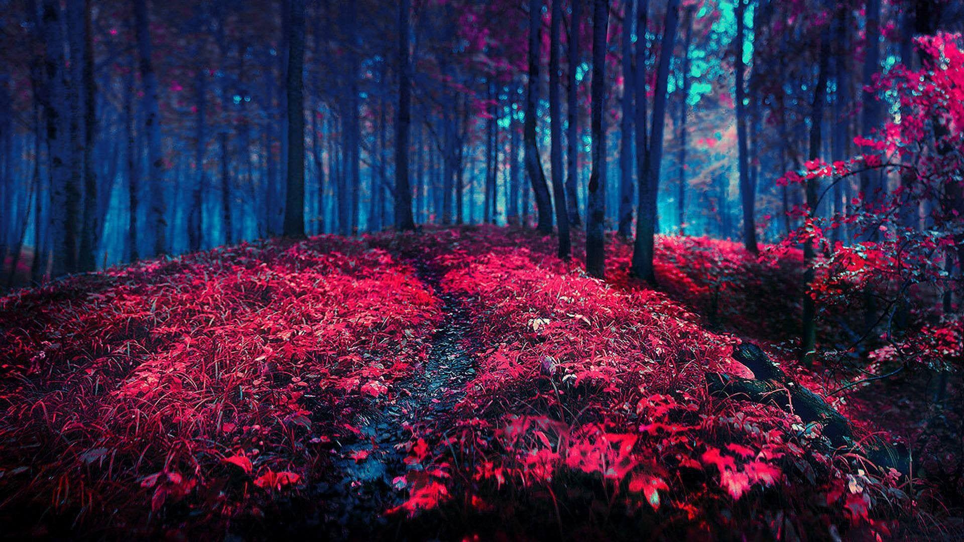 Red Tree 1920X1080 Wallpapers - Top Free Red Tree 1920X1080 Backgrounds ...
