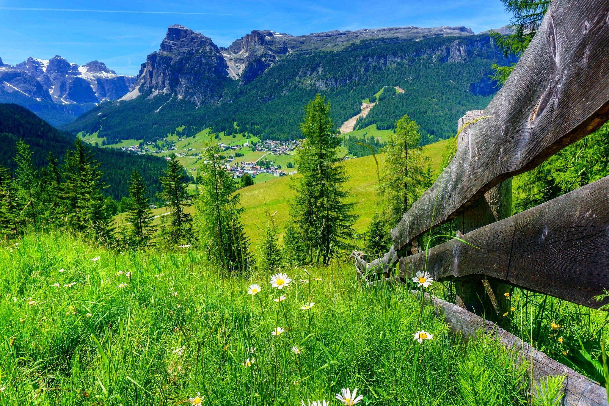 Forest Spring Wallpapers - Top Free Forest Spring Backgrounds ...