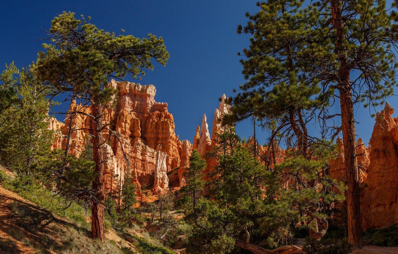 Bryce Canyon Desktop Wallpapers - Top Free Bryce Canyon Desktop ...