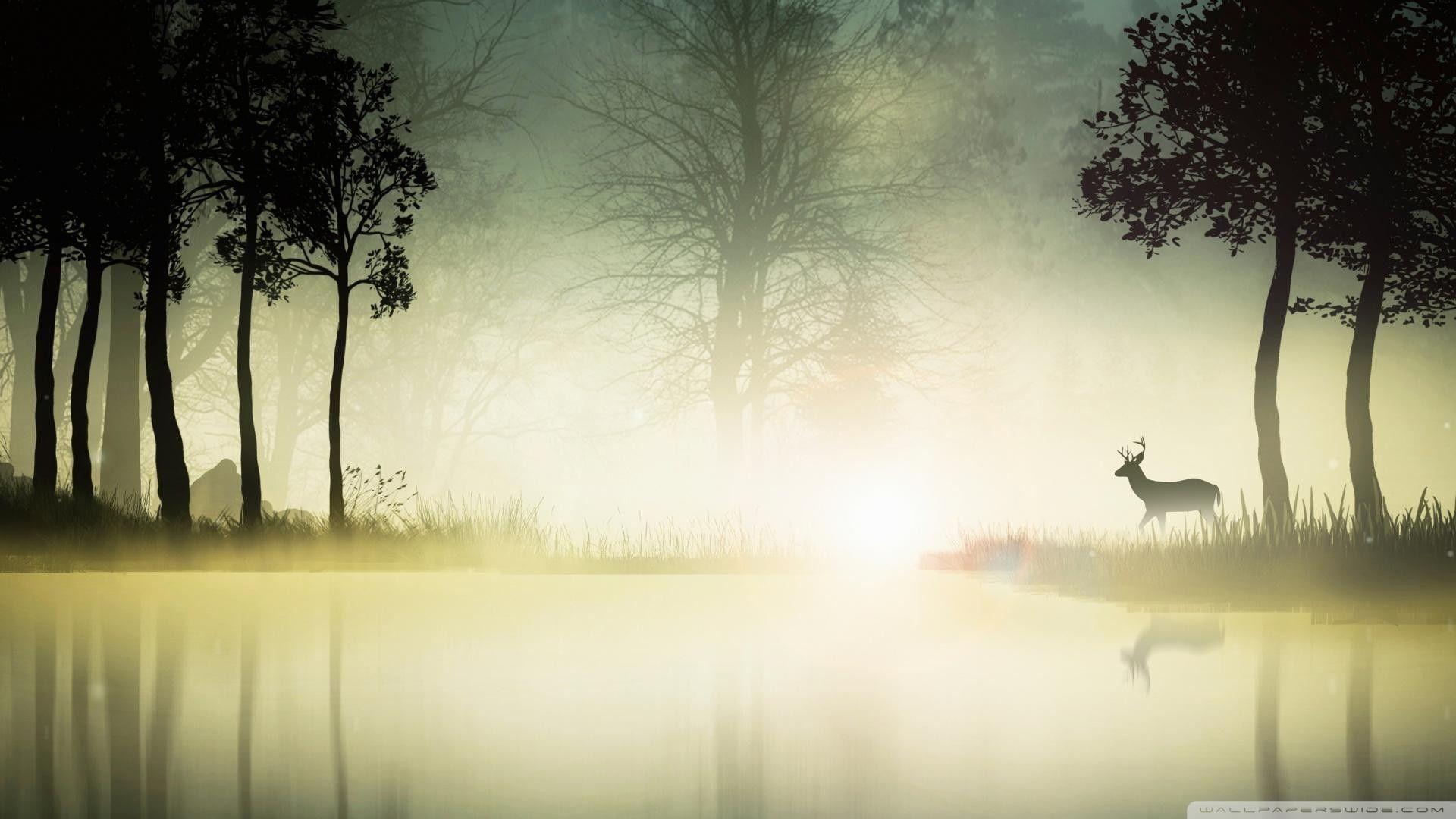 Whitetail Desktop Wallpapers - Top Free Whitetail Desktop Backgrounds ...