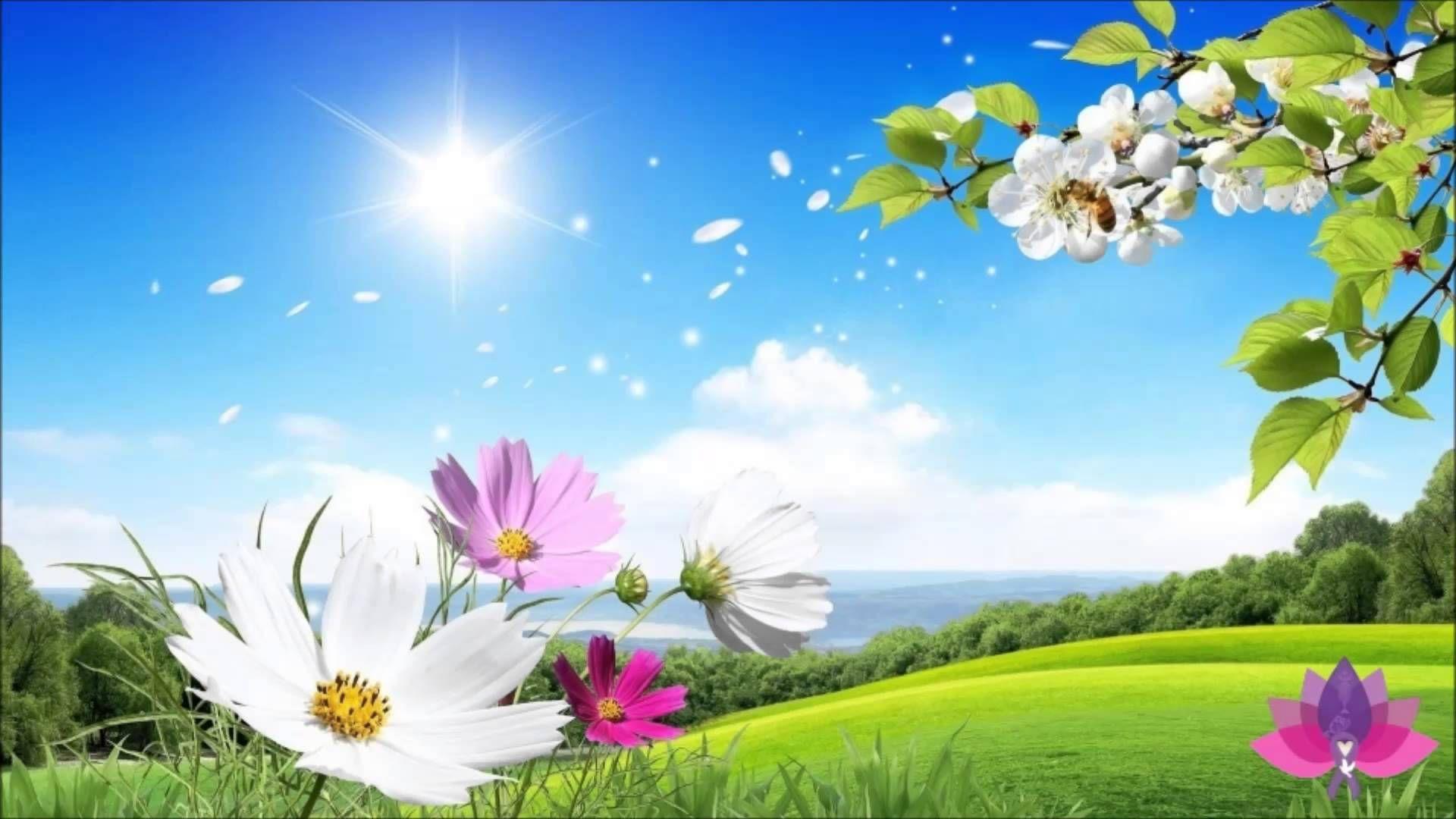 Miracles Wallpapers - Top Free Miracles Backgrounds - WallpaperAccess