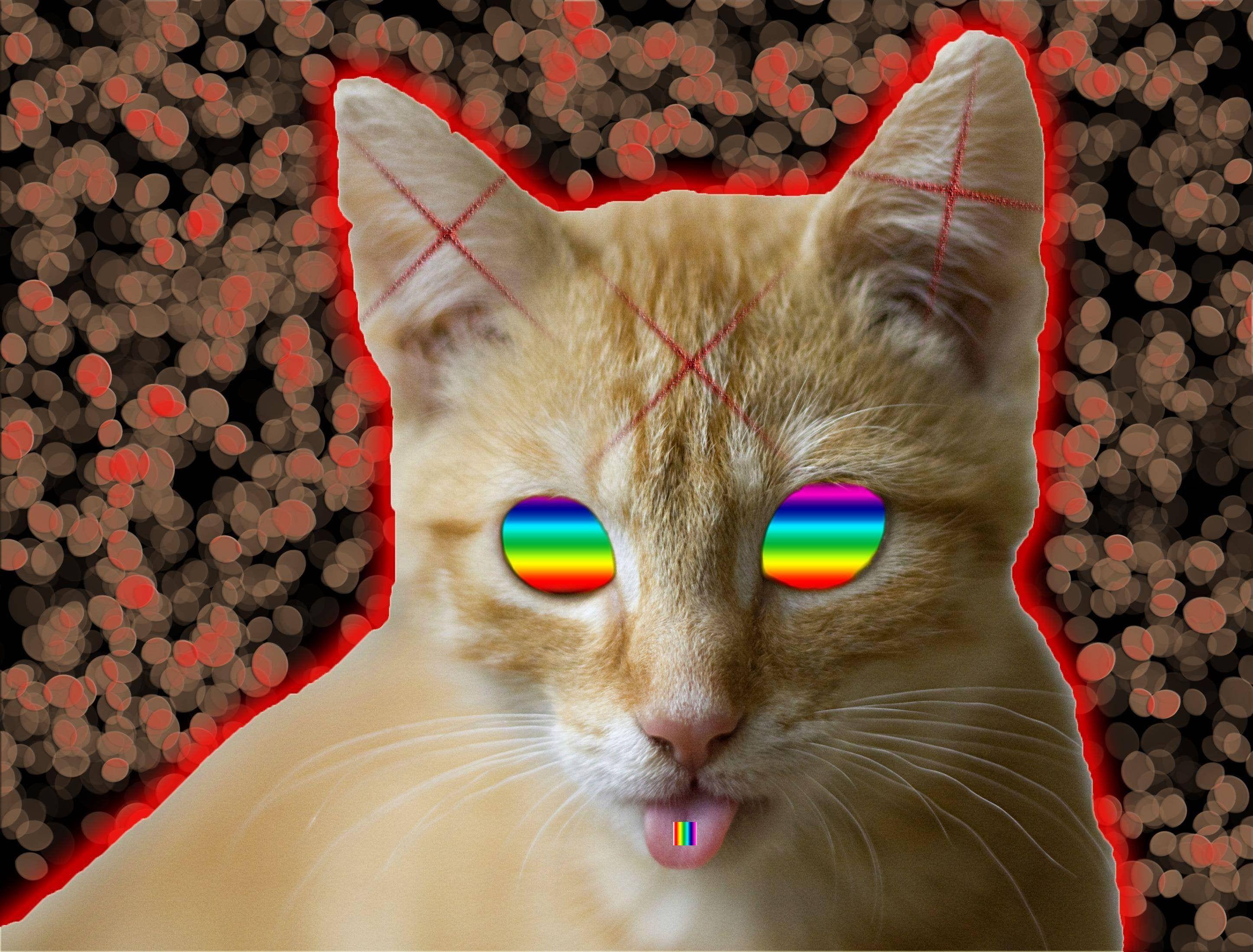 LSD Cats Wallpapers - Top Free LSD Cats Backgrounds - WallpaperAccess