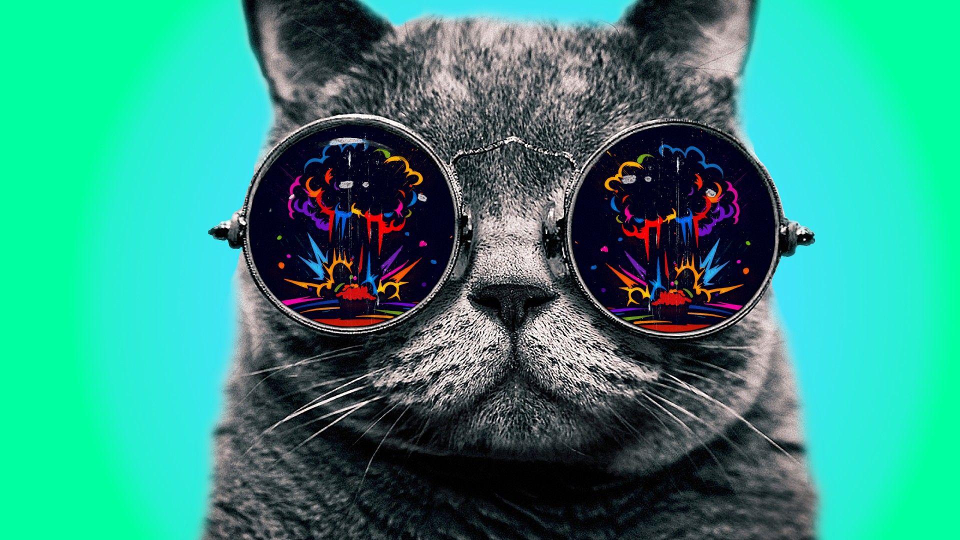 LSD Cats Wallpapers - Top Free LSD Cats Backgrounds - WallpaperAccess