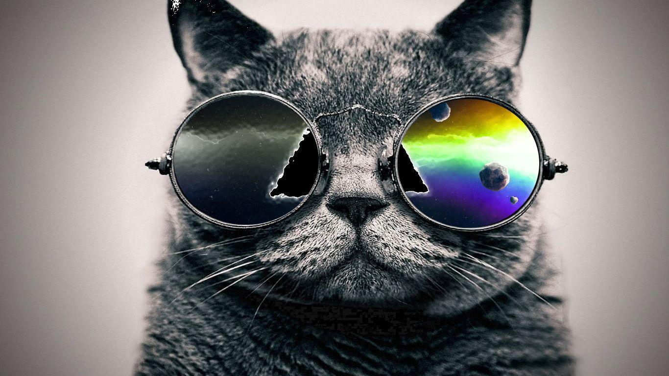 Psychedelic Cat Wallpapers - Top Free Psychedelic Cat Backgrounds ...