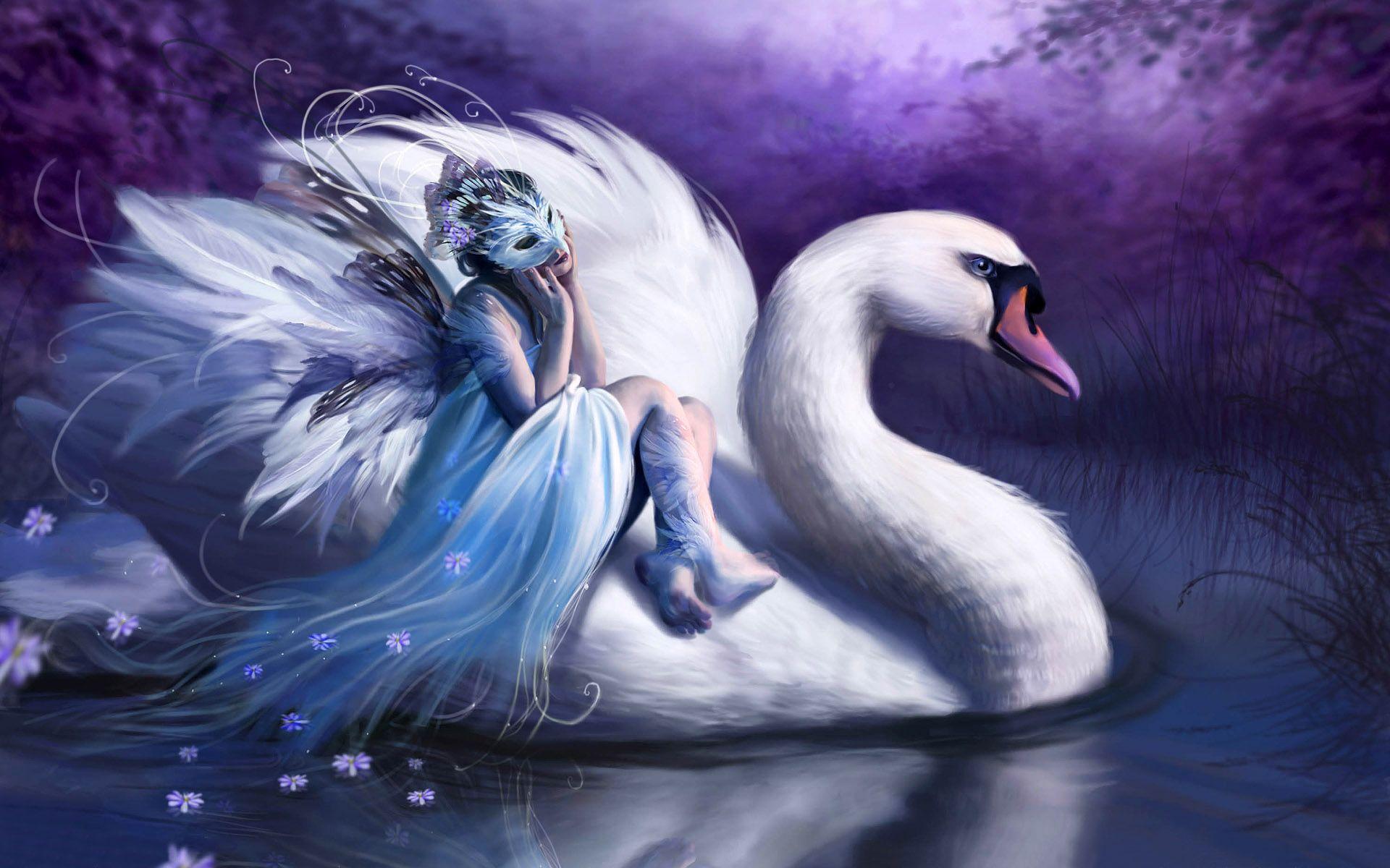 Beautiful Swan Wallpapers - Top Free Beautiful Swan Backgrounds ...