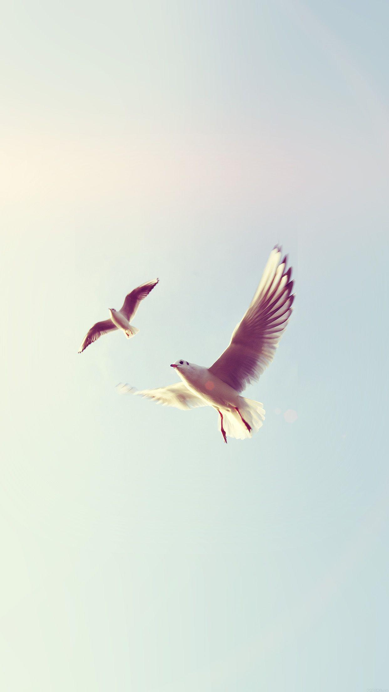 Birds Flying Sky Wallpapers - Top Free Birds Flying Sky Backgrounds ...