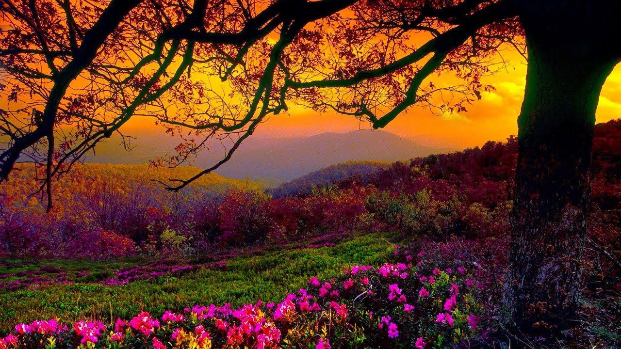 Best Beautiful Nature Wallpapers - Top Free Best Beautiful Nature ...