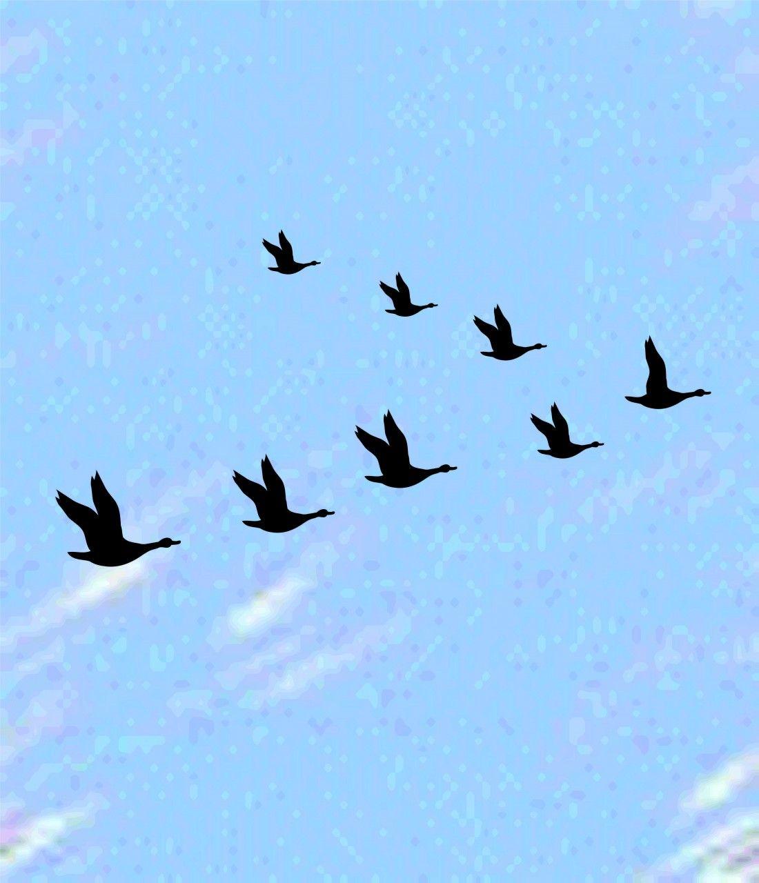 Flying V Wallpapers - Top Free Flying V Backgrounds - WallpaperAccess