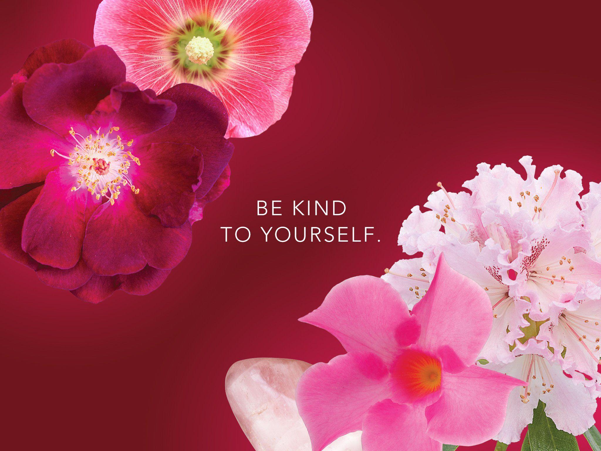 Compassion Wallpapers - Top Free Compassion Backgrounds - WallpaperAccess