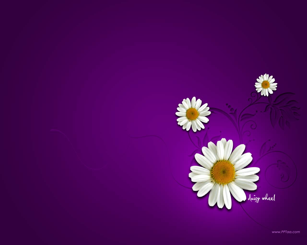 Single Flower Computer Wallpapers - Top Free Single Flower Computer ...