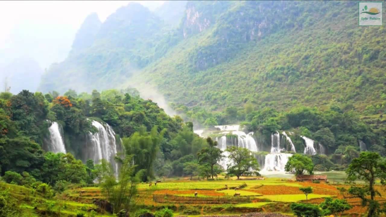 Vietnamese Wallpapers - Top Free Vietnamese Backgrounds - WallpaperAccess