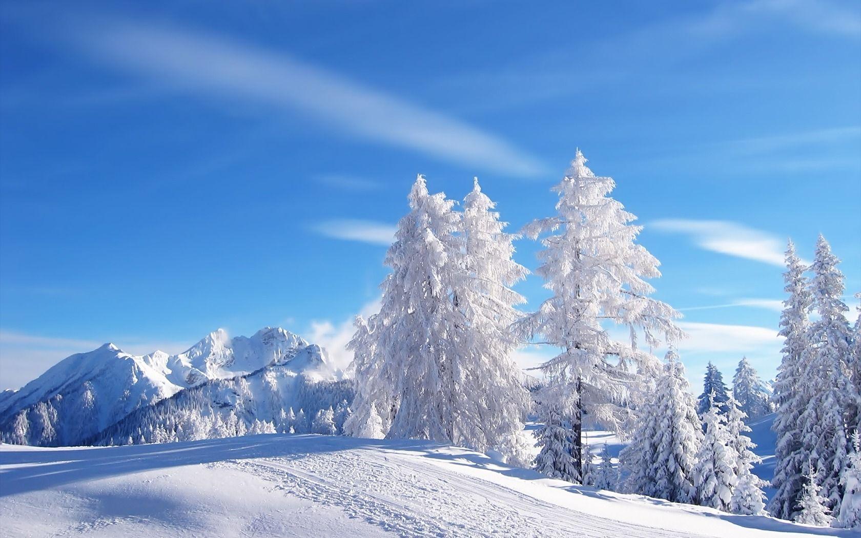 Beautiful Snowfall Wallpapers - Top Free Beautiful Snowfall Backgrounds ...
