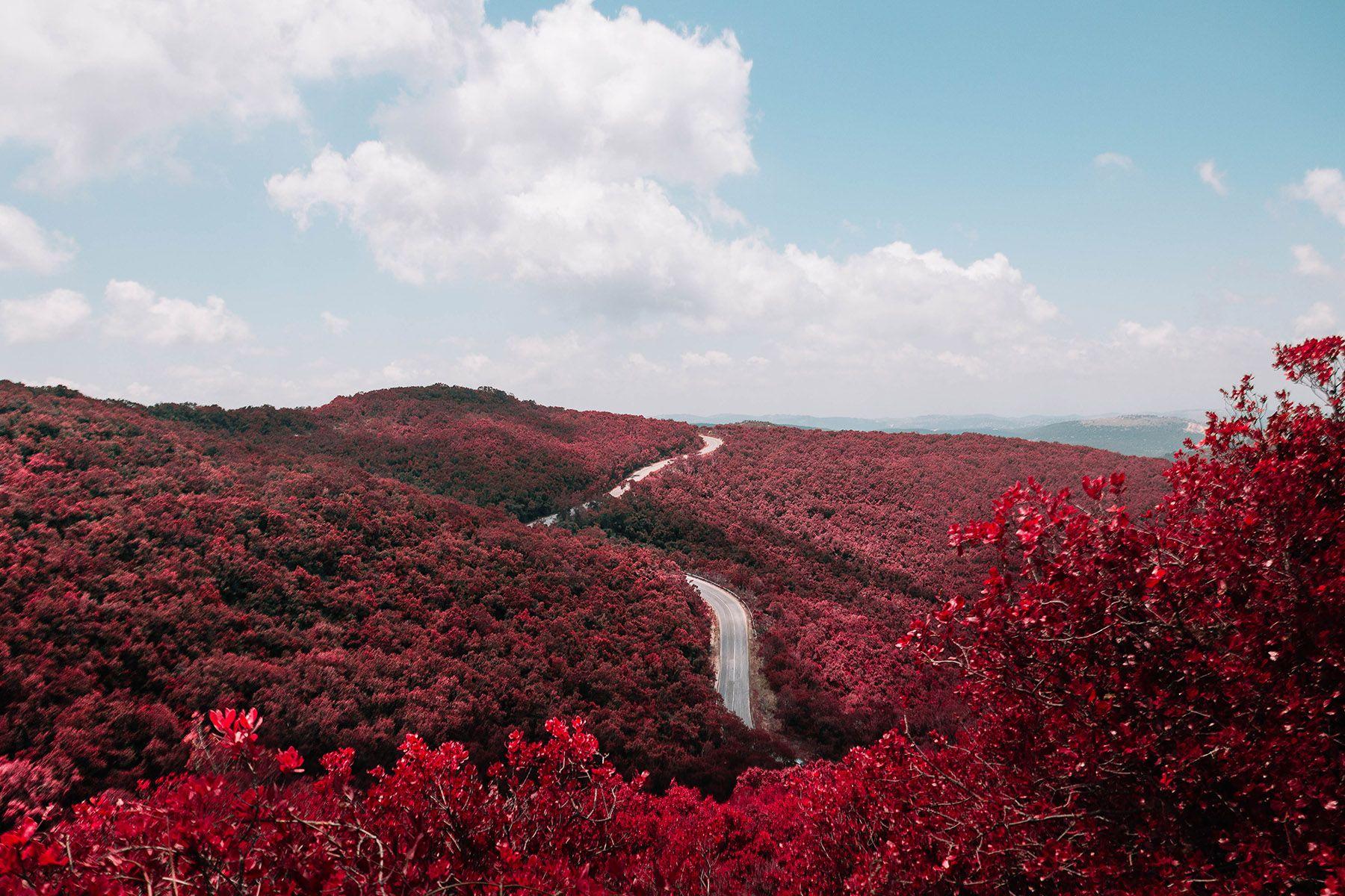 Bootstrap Wallpapers - Top Free Bootstrap Backgrounds - WallpaperAccess