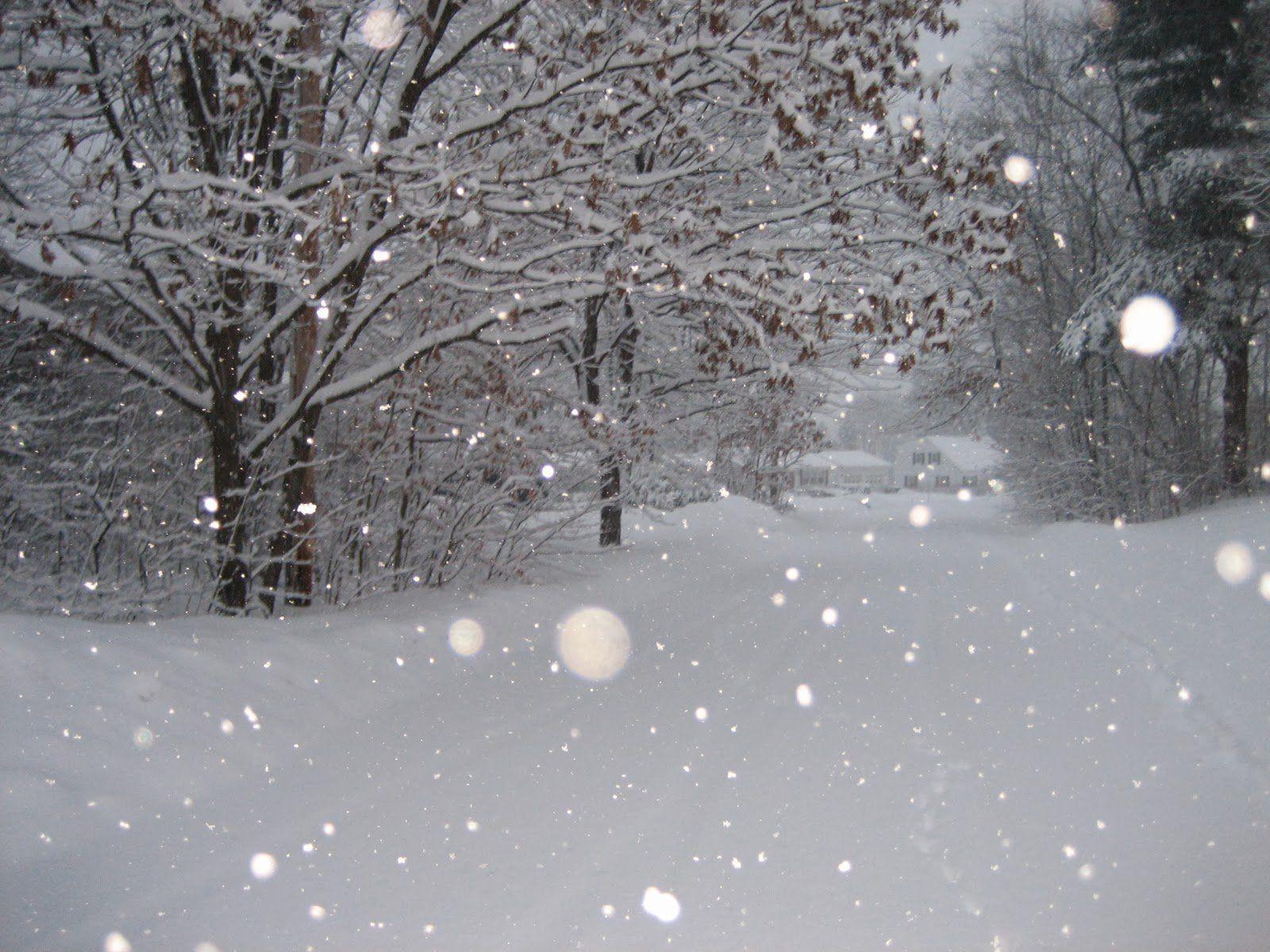 Snow Blizzard Wallpapers - Top Free Snow Blizzard Backgrounds ...