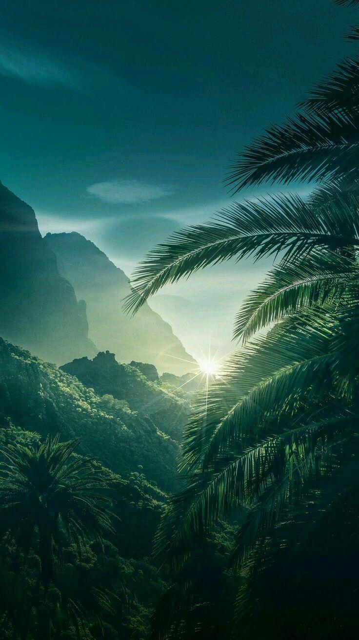 Pinterest Nature Wallpapers - Top Free Pinterest Nature Backgrounds ...