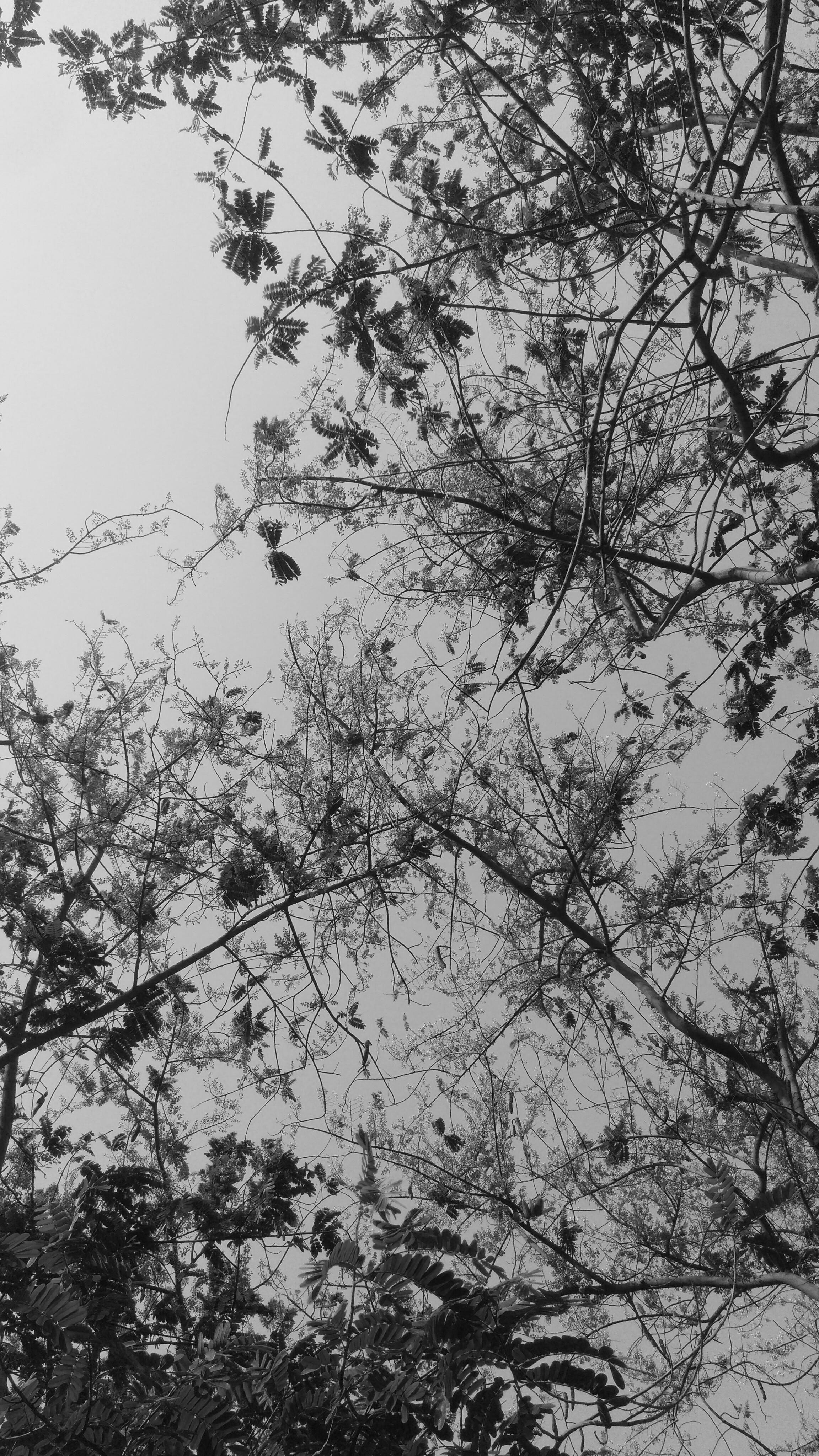 BW Wallpapers - Top Free BW Backgrounds - WallpaperAccess