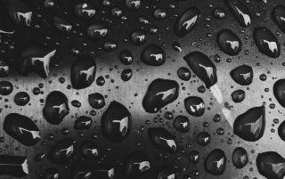 BW Wallpapers - Top Free BW Backgrounds - WallpaperAccess