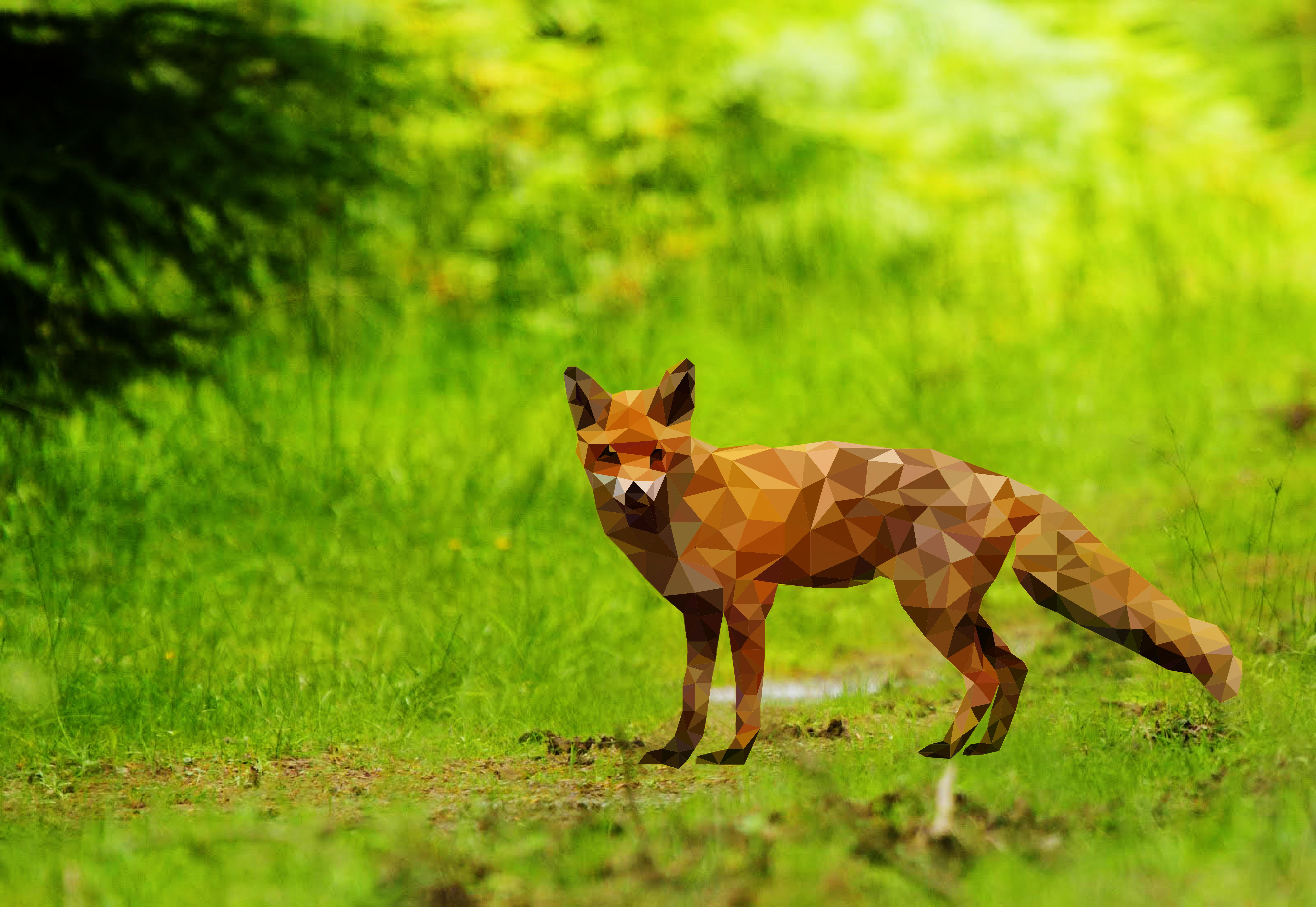 Polygon Fox Wallpapers - Top Free Polygon Fox Backgrounds - WallpaperAccess