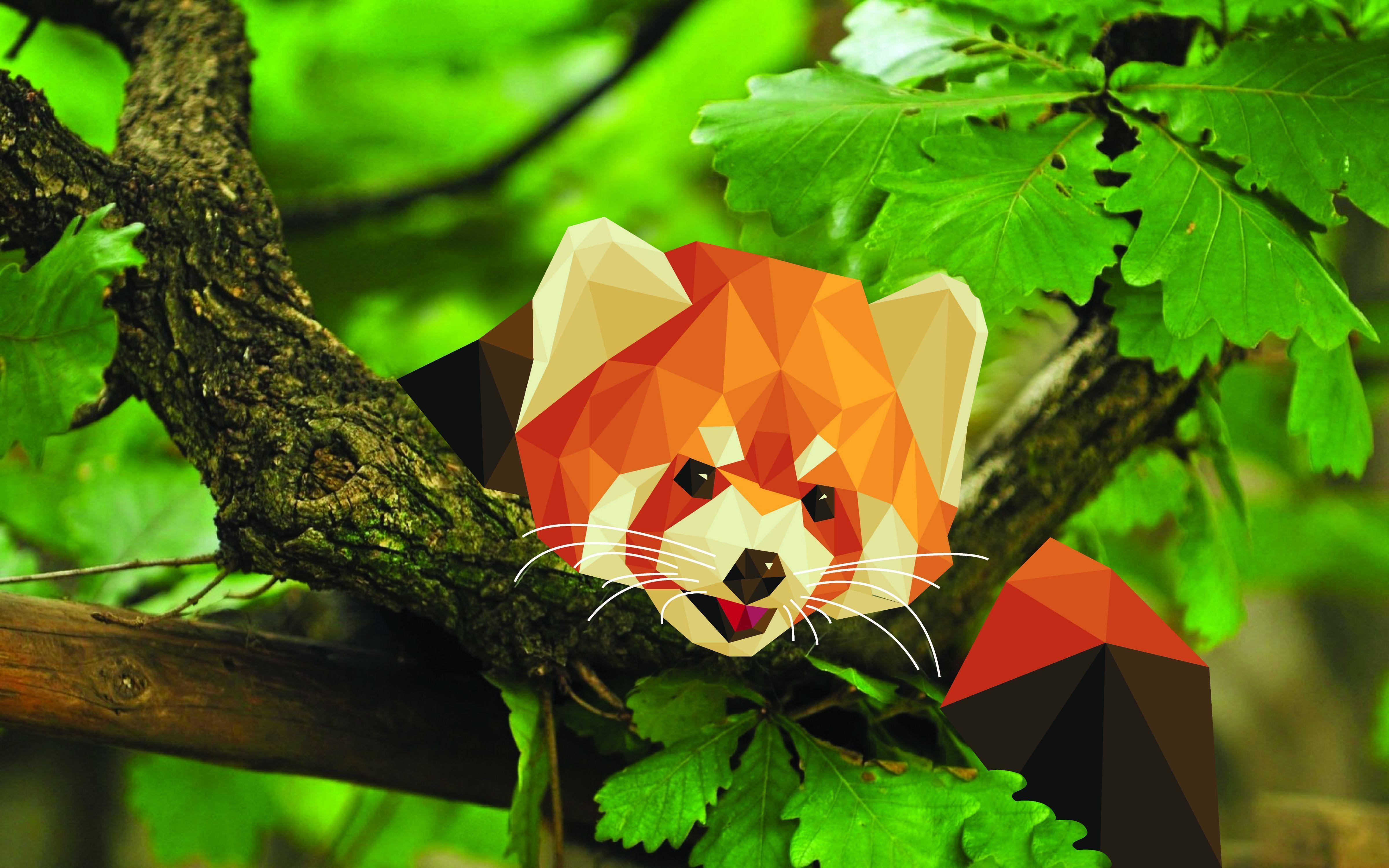Polygon Fox Wallpapers - Top Free Polygon Fox Backgrounds - WallpaperAccess