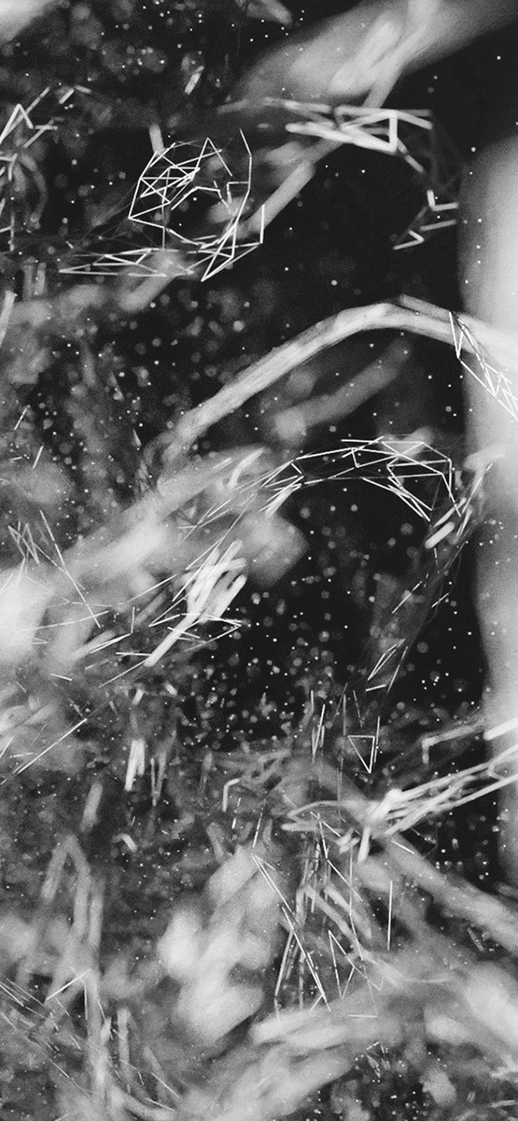 BW Wallpapers - Top Free BW Backgrounds - WallpaperAccess