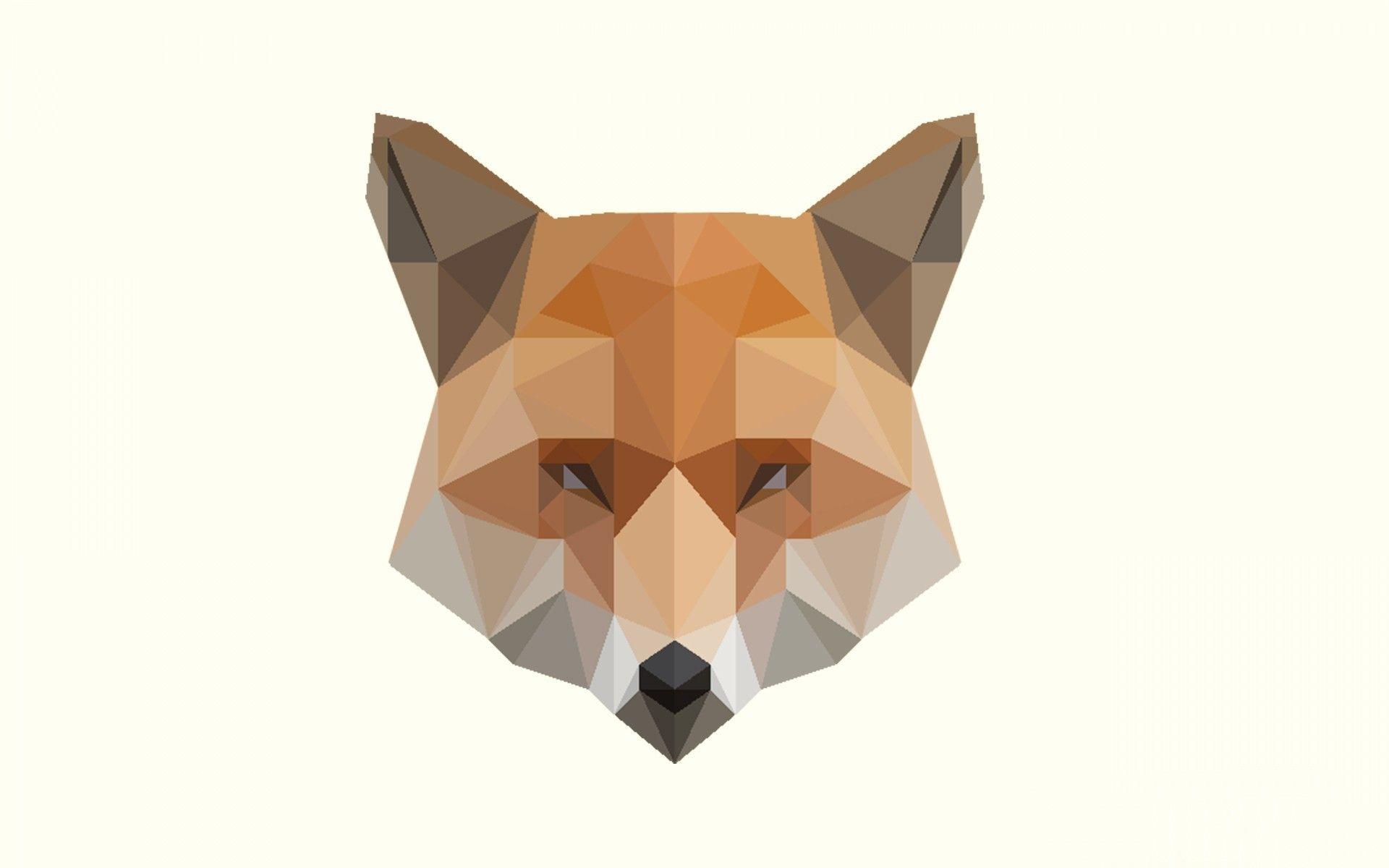 Polygon Fox Wallpapers - Top Free Polygon Fox Backgrounds - WallpaperAccess
