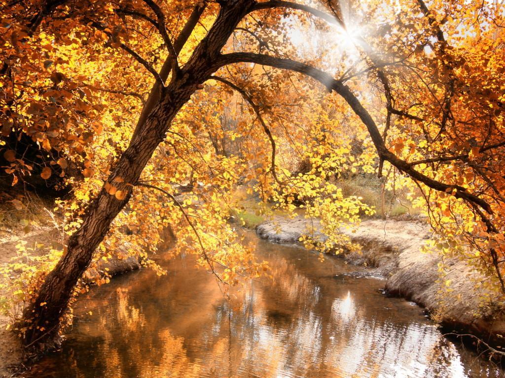 Mountain Creek Wallpapers - Top Free Mountain Creek Backgrounds ...