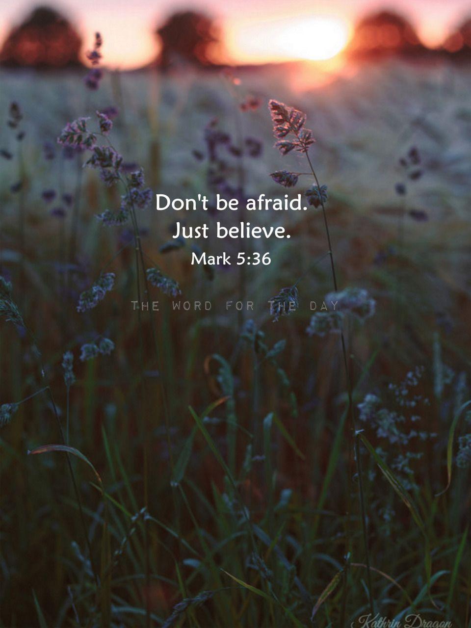 Do Not Be Afraid Wallpapers - Top Free Do Not Be Afraid Backgrounds ...