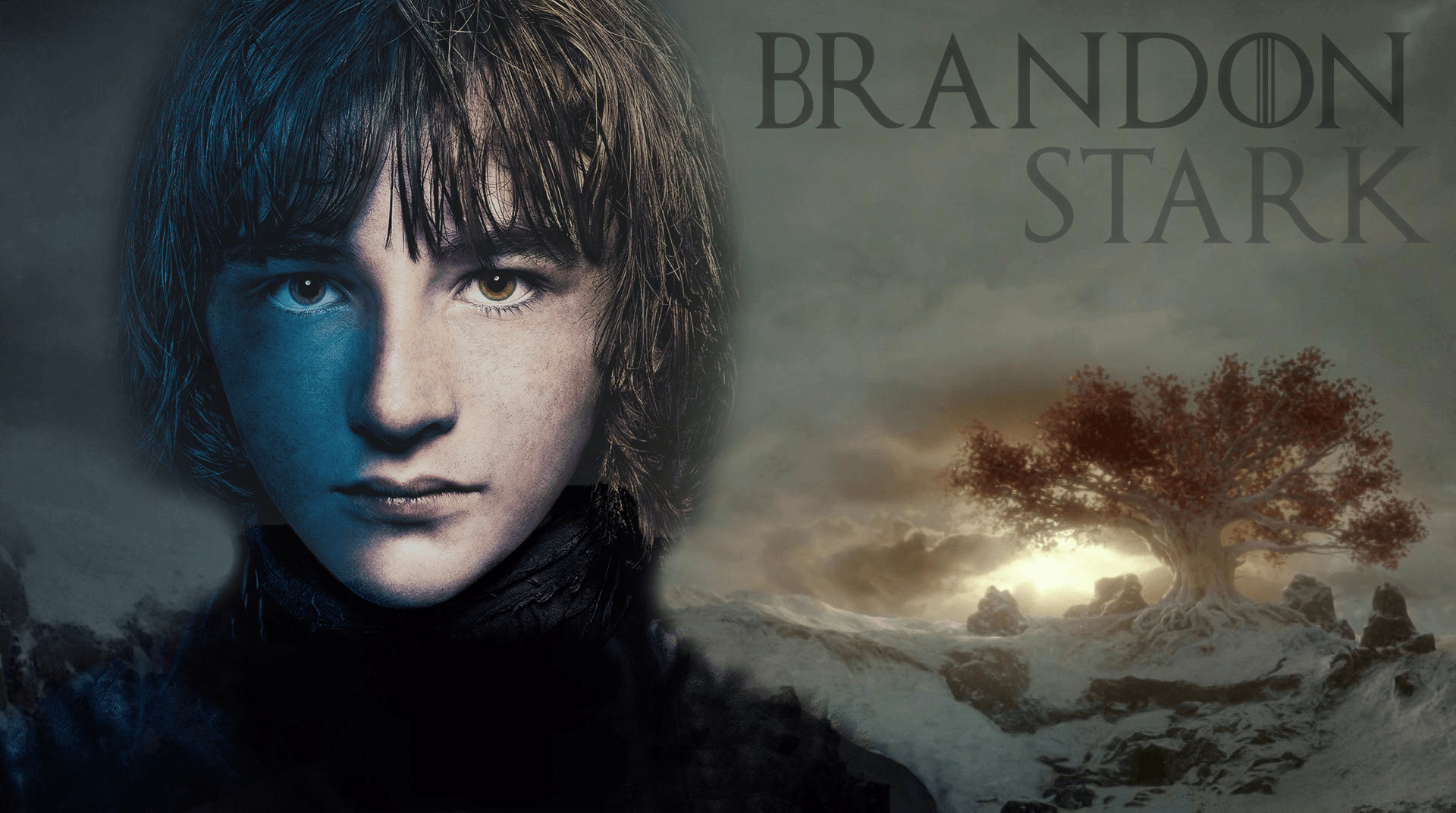 Bran Stark Wallpapers - Top Free Bran Stark Backgrounds - WallpaperAccess