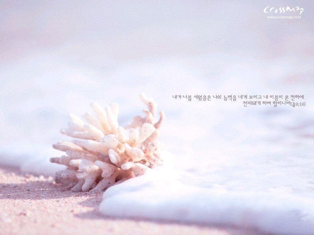 Cute Bible Verse Computer Wallpapers - Top Free Cute Bible Verse ...