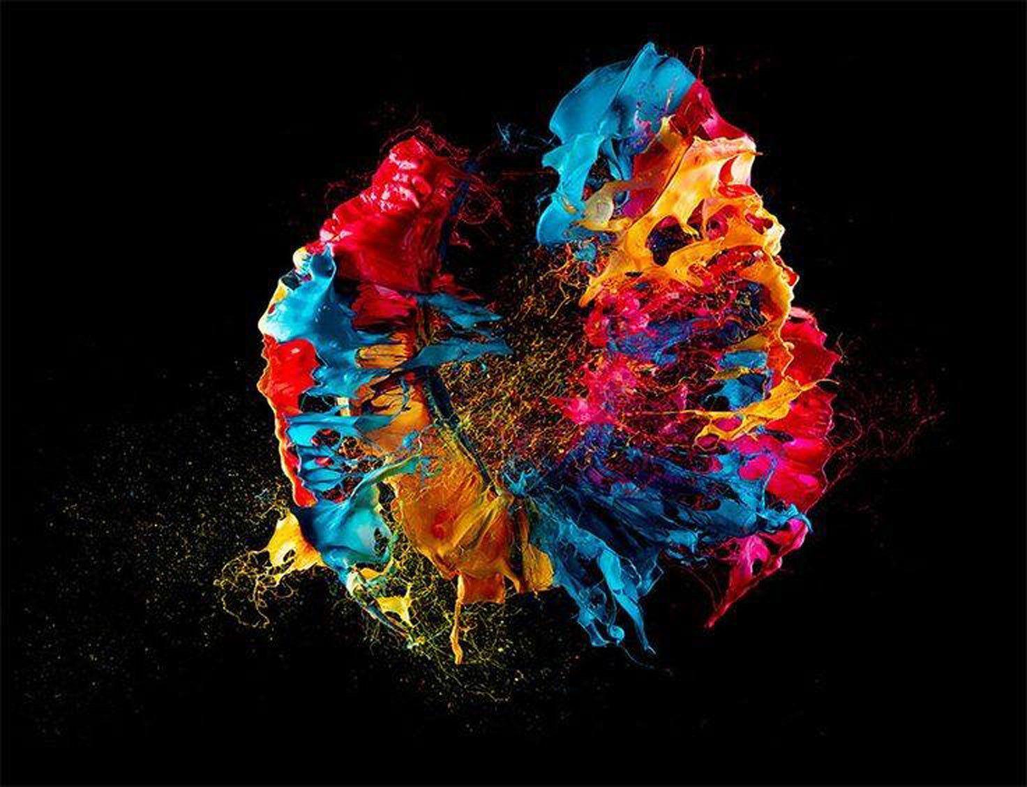 Slow Motion Photography Hd