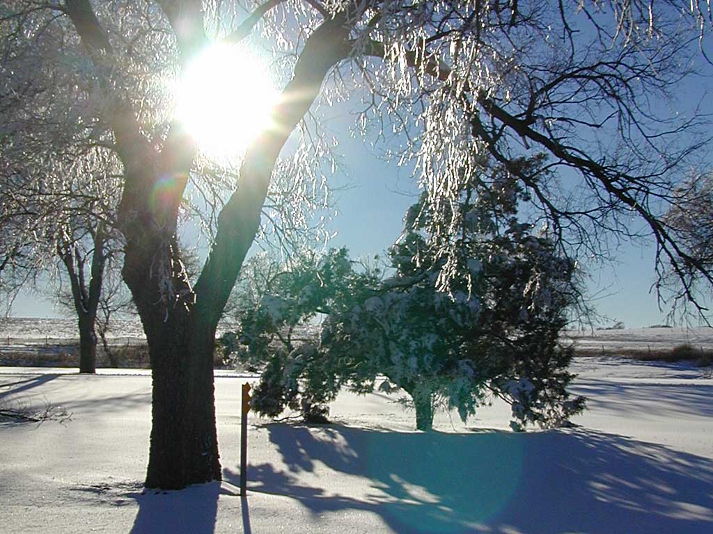 Texas Winter Wallpapers - Top Free Texas Winter Backgrounds ...