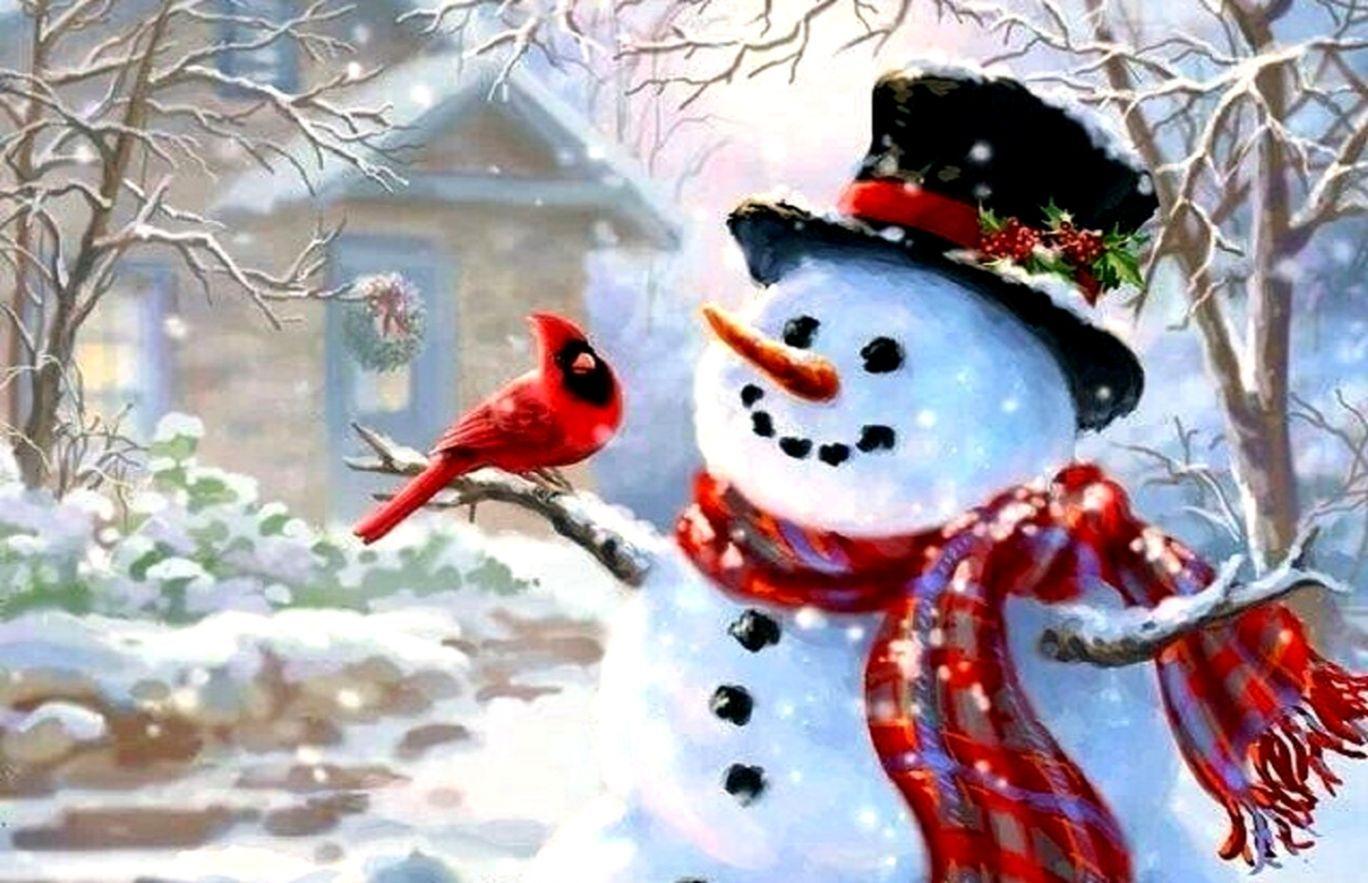 Cardinal Snow iPhone Wallpapers - Top Free Cardinal Snow iPhone ...
