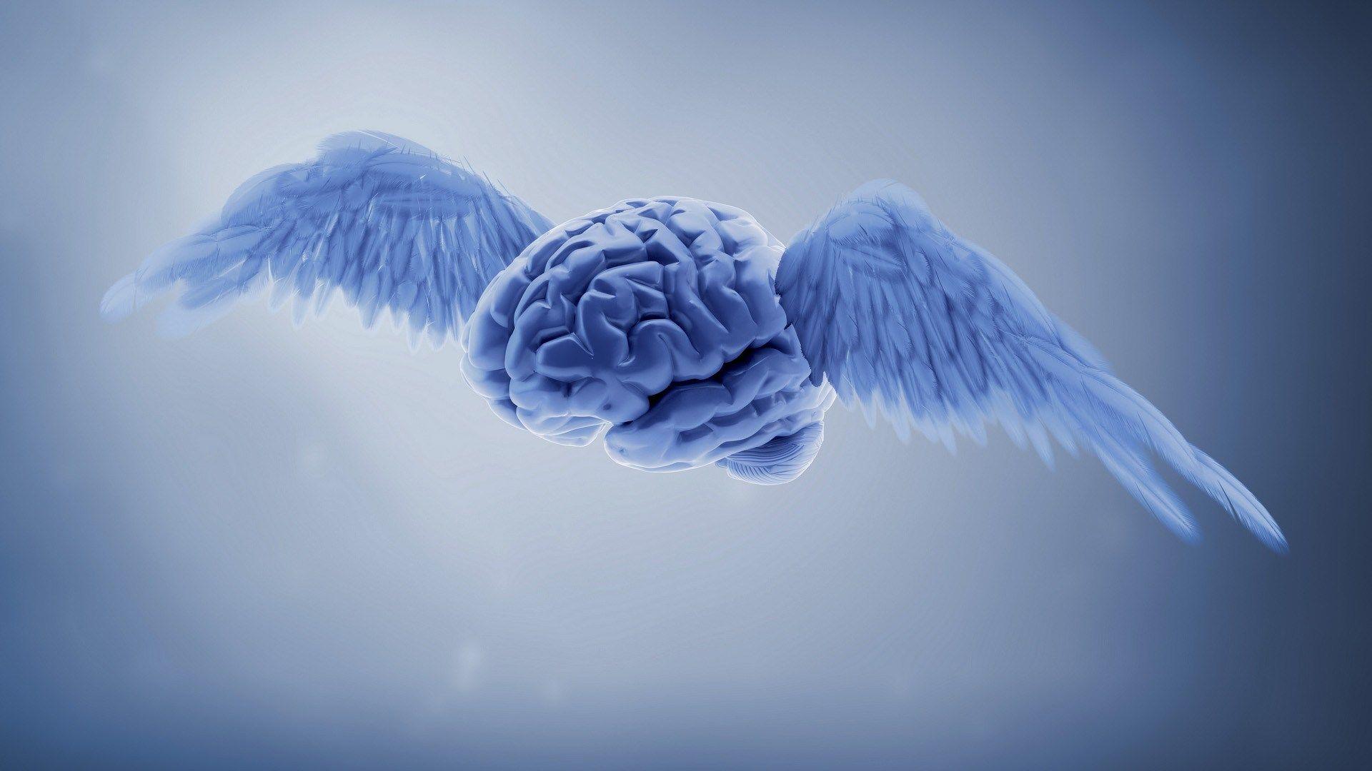 Artificial Intelligence Brain Wallpapers - Top Free Artificial ...