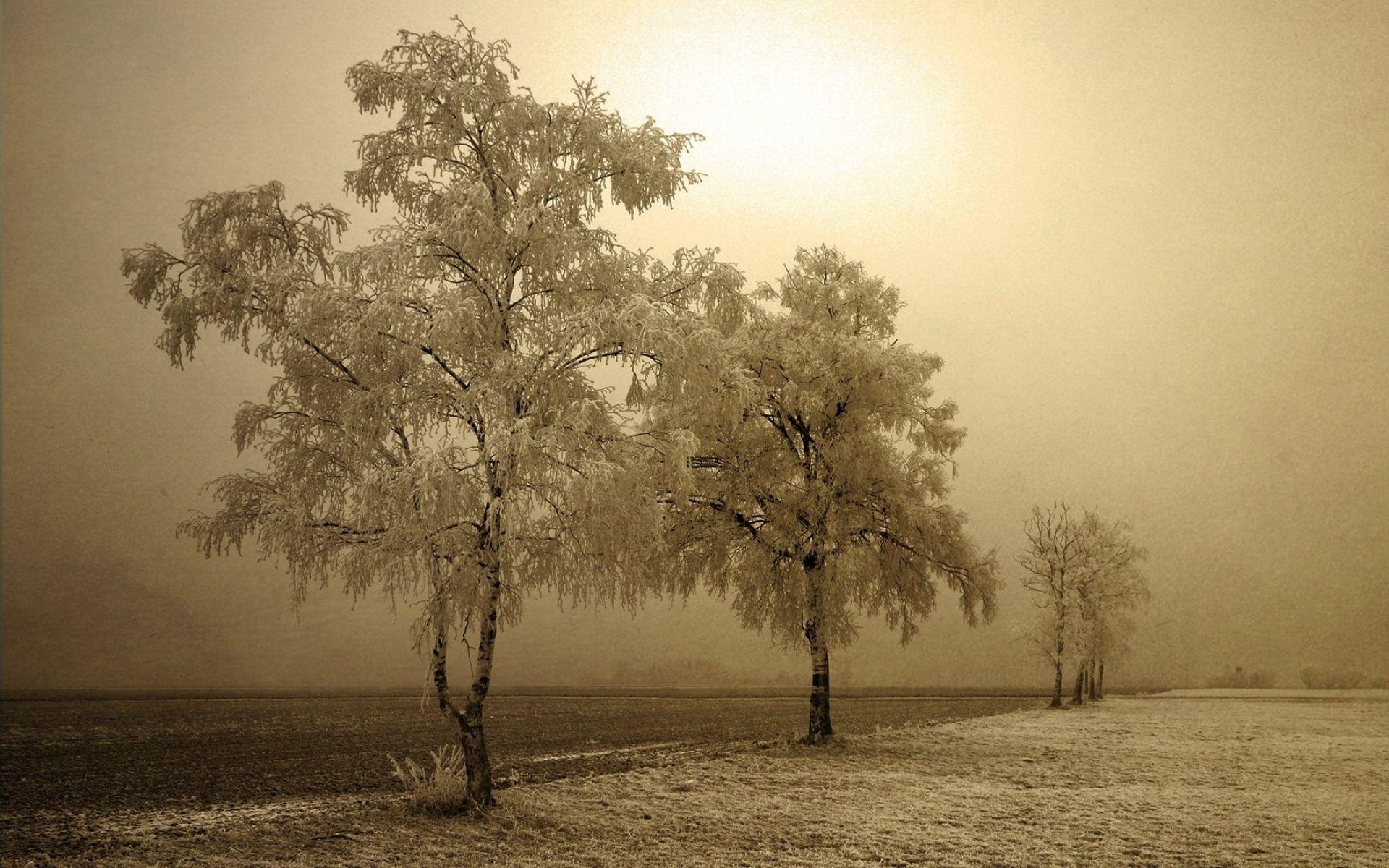 Old Winter Wallpapers - Top Free Old Winter Backgrounds - WallpaperAccess