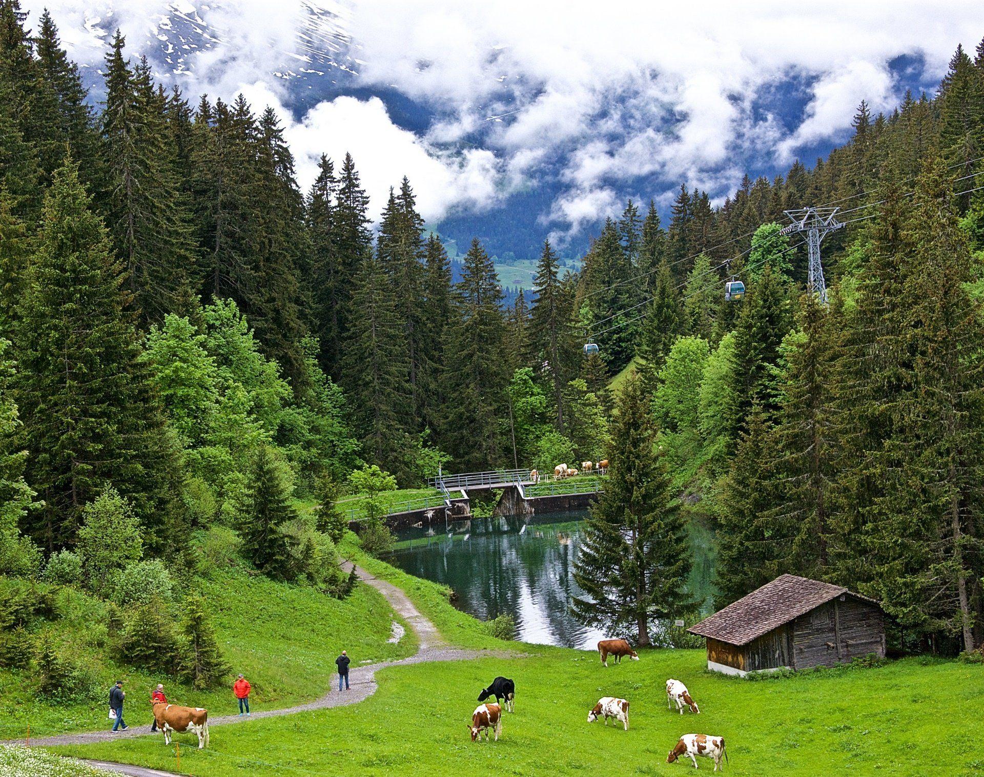 Swiss Nature Wallpapers - Top Free Swiss Nature Backgrounds ...