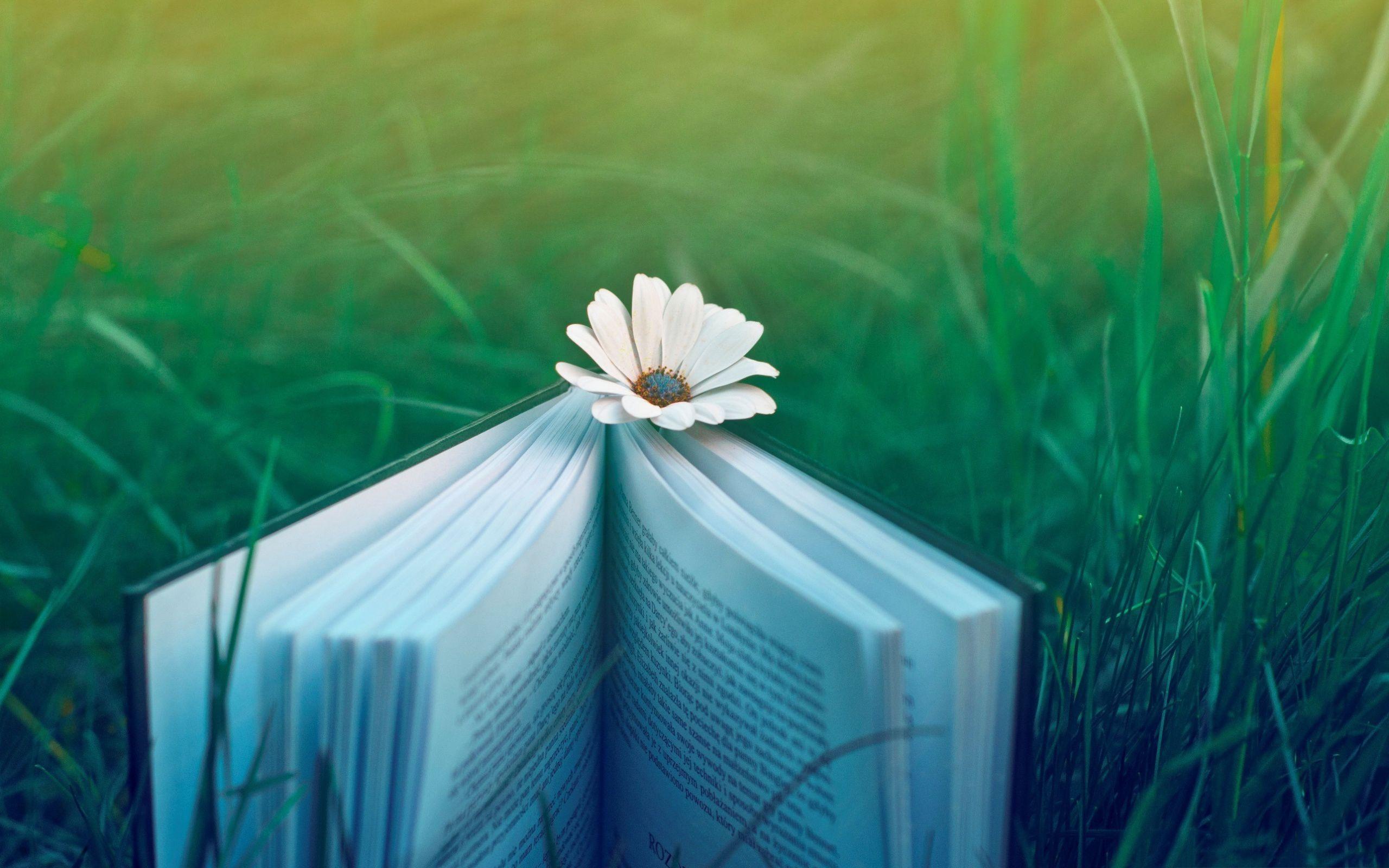 Book Girl Wallpapers - Top Free Book Girl Backgrounds - WallpaperAccess