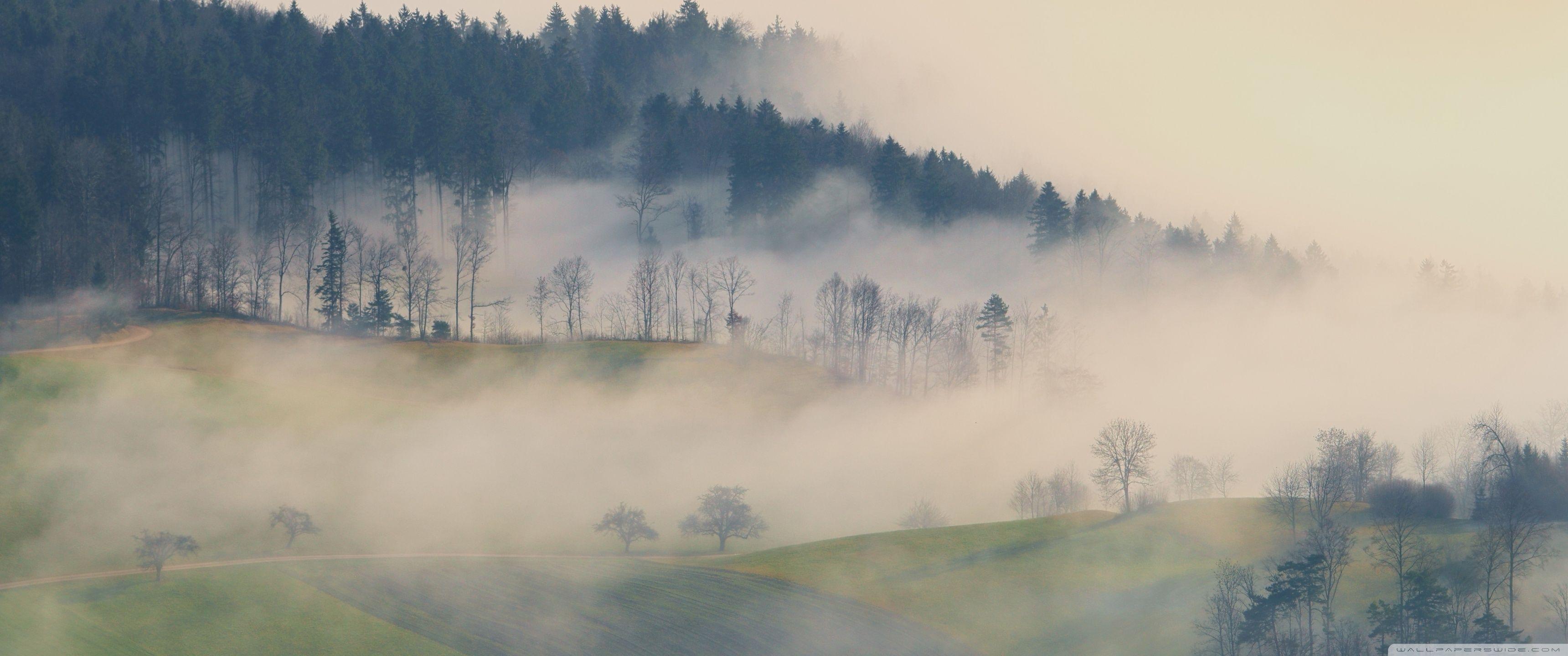 Fog Wallpapers - Top Free Fog Backgrounds - WallpaperAccess