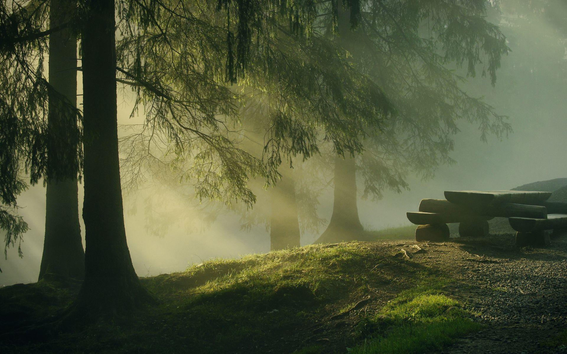 Fog Wallpapers - Top Free Fog Backgrounds - WallpaperAccess