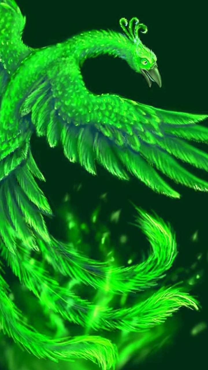 Neon Phoenix Wallpapers - Top Free Neon Phoenix Backgrounds ...