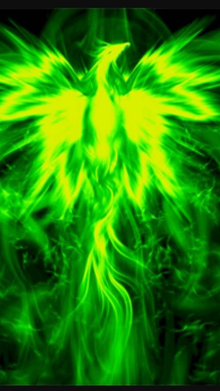 Neon Phoenix Wallpapers - Top Free Neon Phoenix Backgrounds ...