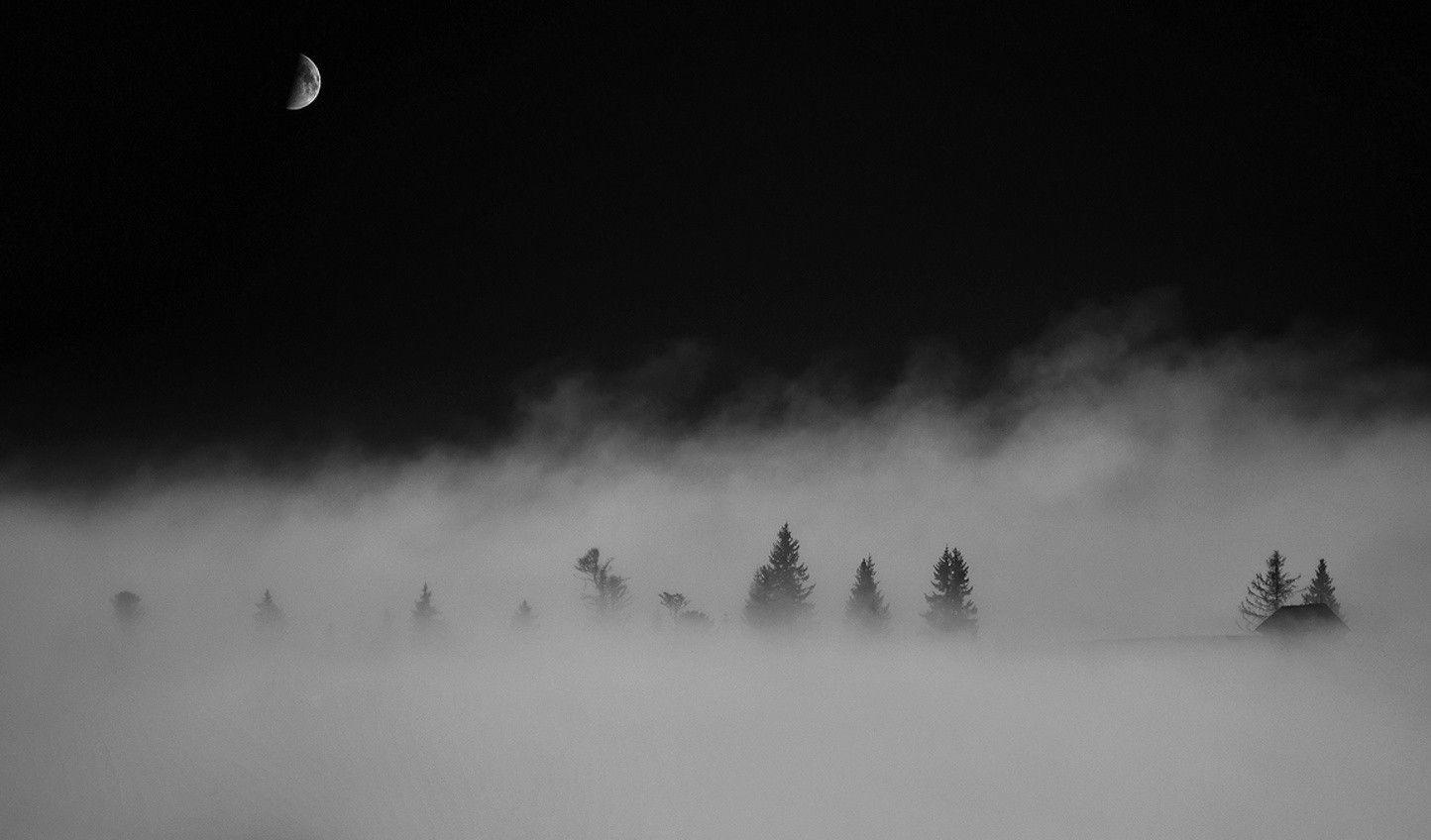 Fog Wallpapers - Top Free Fog Backgrounds - WallpaperAccess