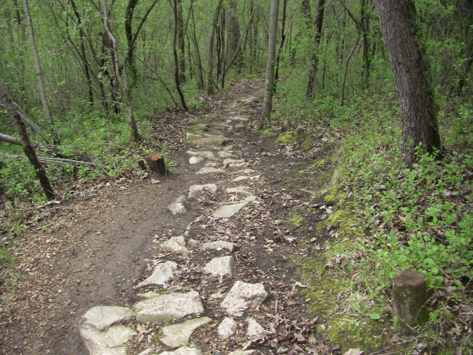 Mountain Bike Trail Wallpapers - Top Free Mountain Bike Trail ...