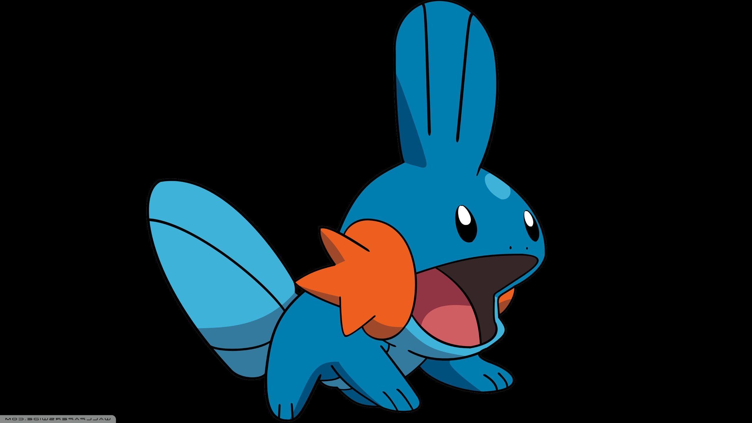 Pokemon Mudkip Wallpapers - Top Free Pokemon Mudkip Backgrounds - WallpaperAccess