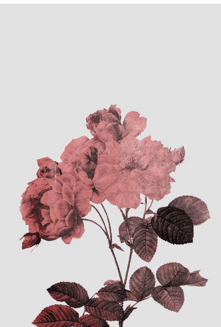 Rose Gold Flowers Wallpapers - Top Free Rose Gold Flowers Backgrounds ...