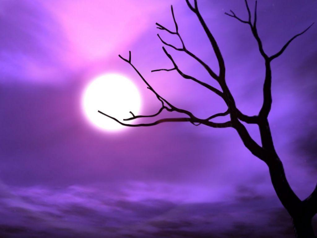 Beautiful Purple Moon Wallpapers - Top Free Beautiful Purple Moon ...